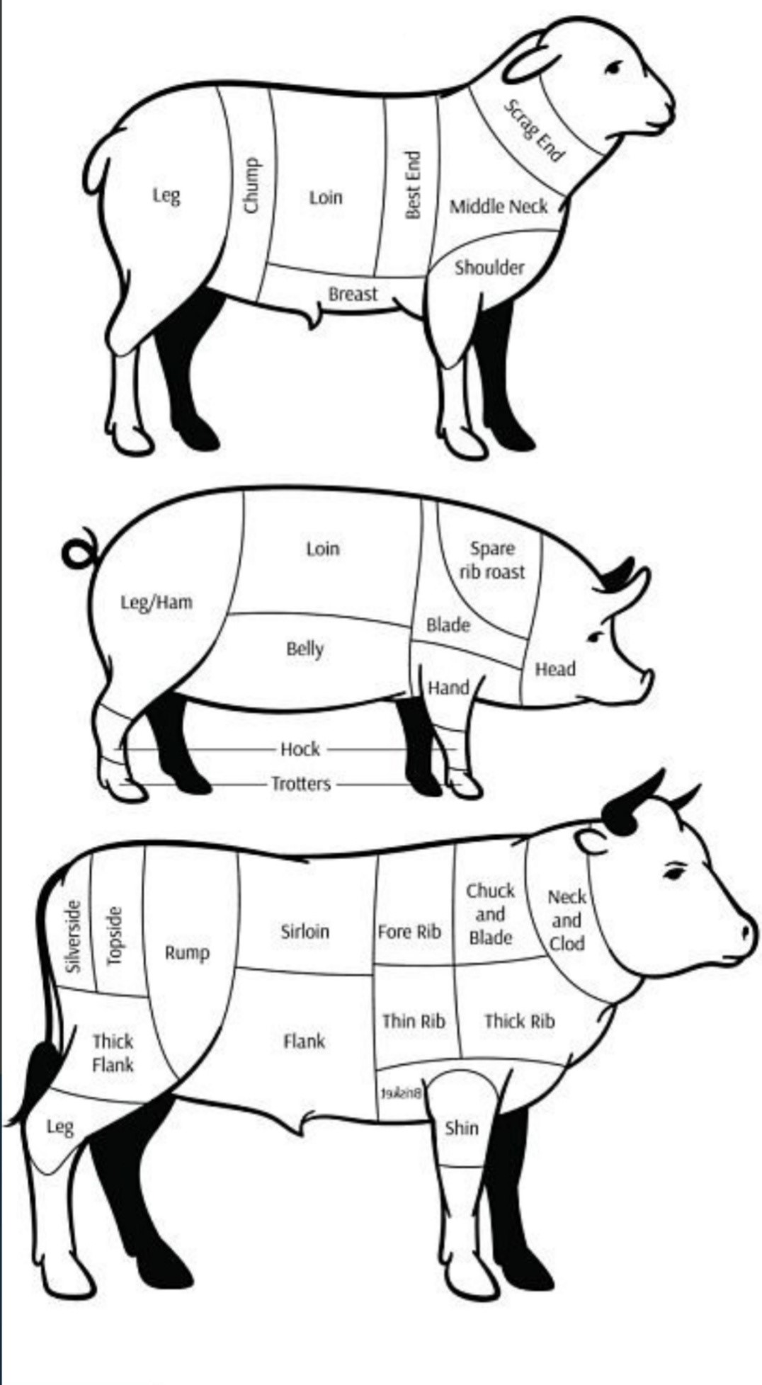 Semester 2: Unit 2 - Meat Cookery - IHM Notes